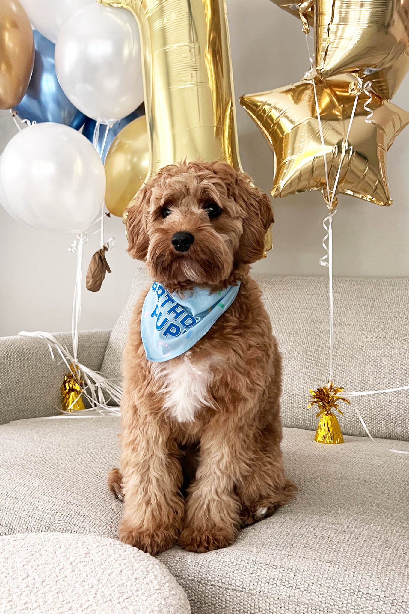 January Favorites Roundup - The Beauty Look Book